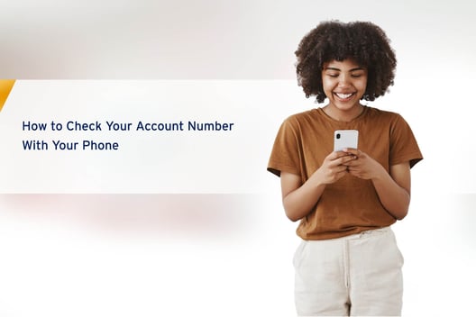 How to Check My BVN Without Phone Number